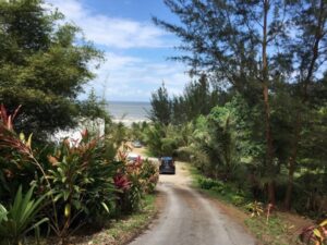 Tim’s Seaside Hideout Cafe & Lodge Miri - Miri City Sharing