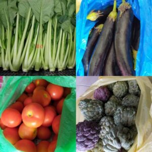 Fresh Vegetables Farm in Miri City - Miri City Sharing