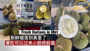 Fresh Durians Opposite The Little Chef Miri - Miri City Sharing
