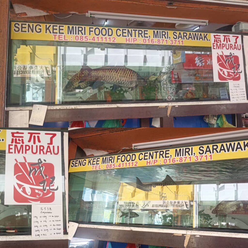 Seng Kee Miri Economy Rice with Free Soup - Miri City Sharing
