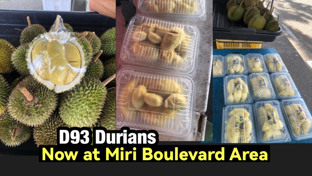 D93 Durians now at Miri Boulevard Area - Miri City Sharing