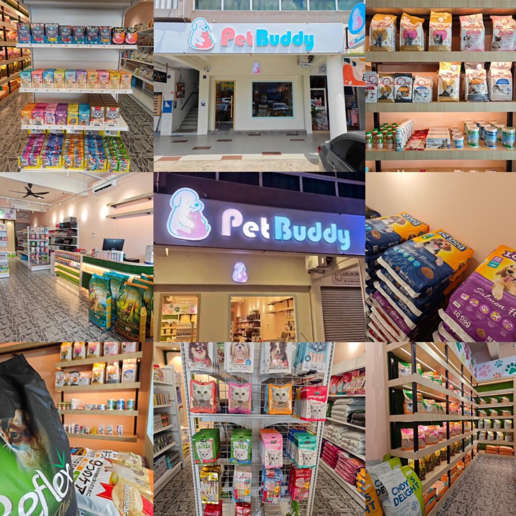 Pet Buddy now in Miri City - Miri City Sharing