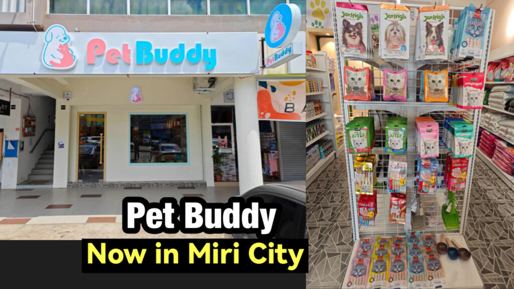 Pet Buddy now in Miri City - Miri City Sharing