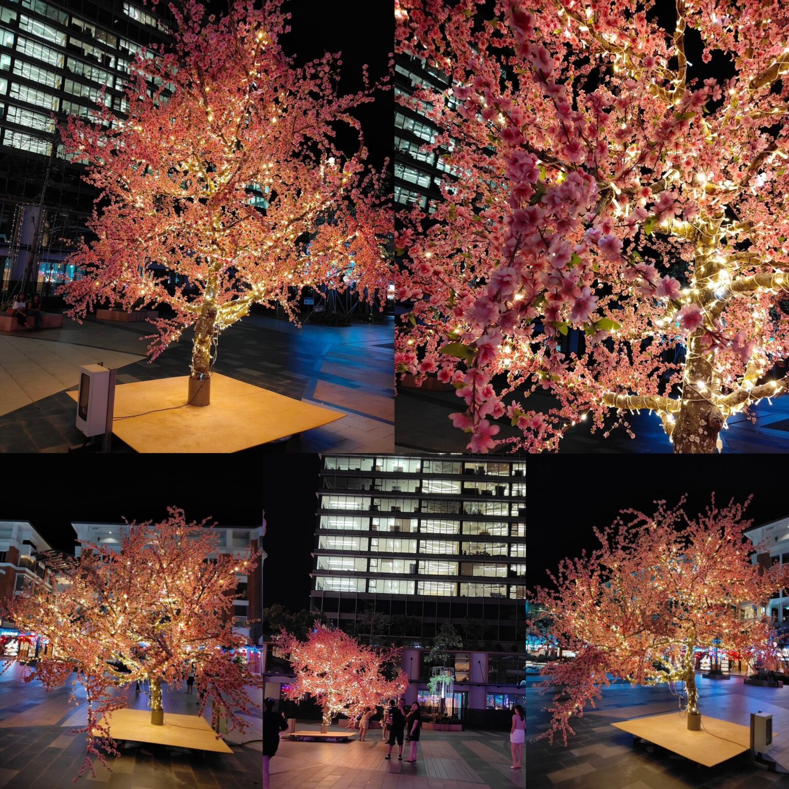 2024 CNY Decorations in Miri Times Square - Miri City Sharing