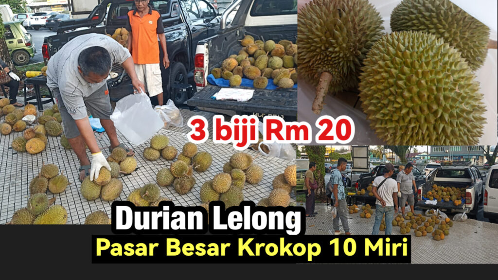 Durian Lelong now in Pasar Besar Krokop 10 Miri - Miri City Sharing