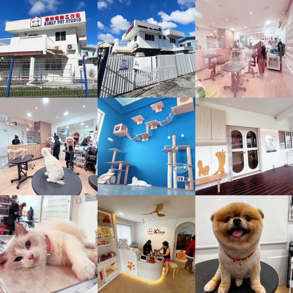 Kimly Pet Studio now in Miri City - Miri City Sharing