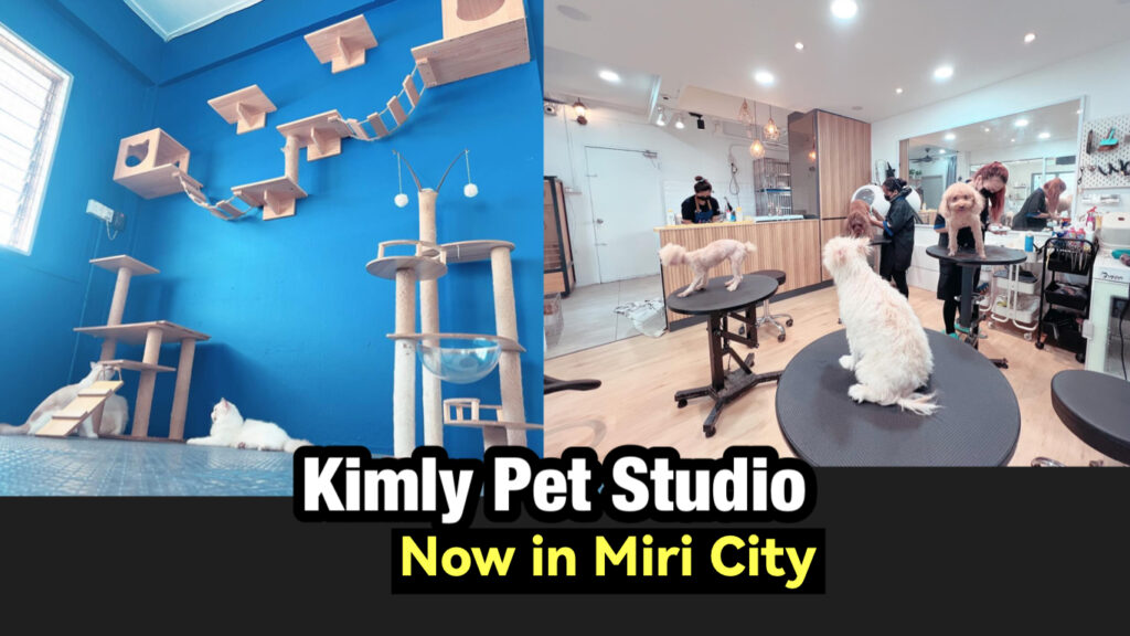 Kimly Pet Studio now in Miri City - Miri City Sharing