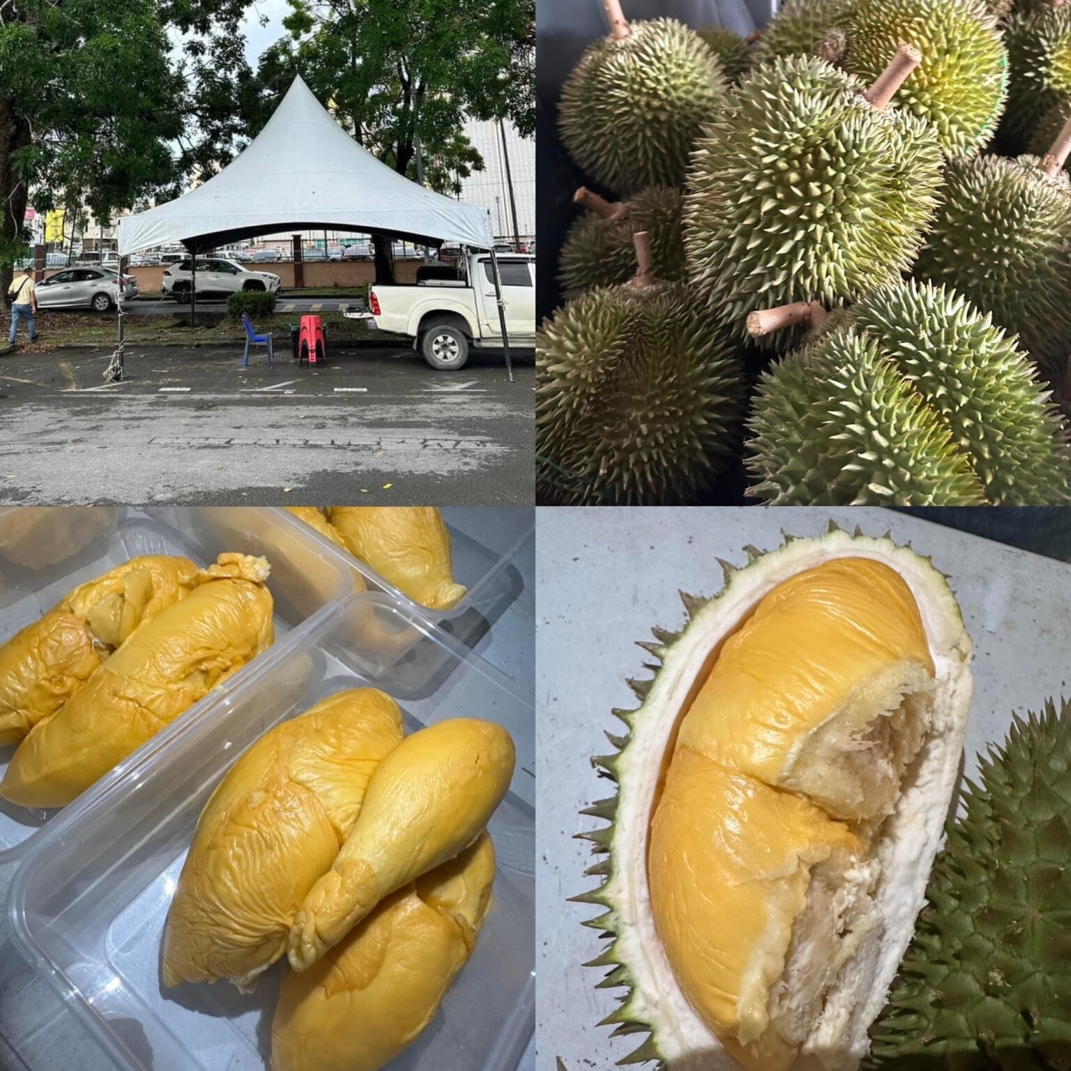 Durians Stalls back in Miri City - Miri City Sharing