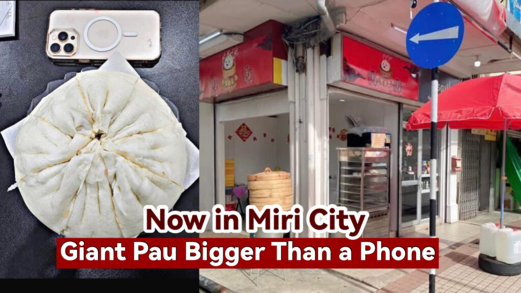 Giant Pau Bigger Than a Phone in Miri - Miri City Sharing