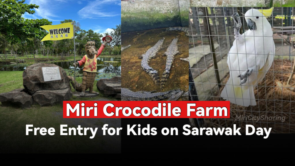 Miri Crocodile Farm – Free Entry for Kids on Sarawak Day - Miri City ...