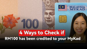 4 Ways to Check if RM100 is Credited to Your MyKad - Miri City Sharing