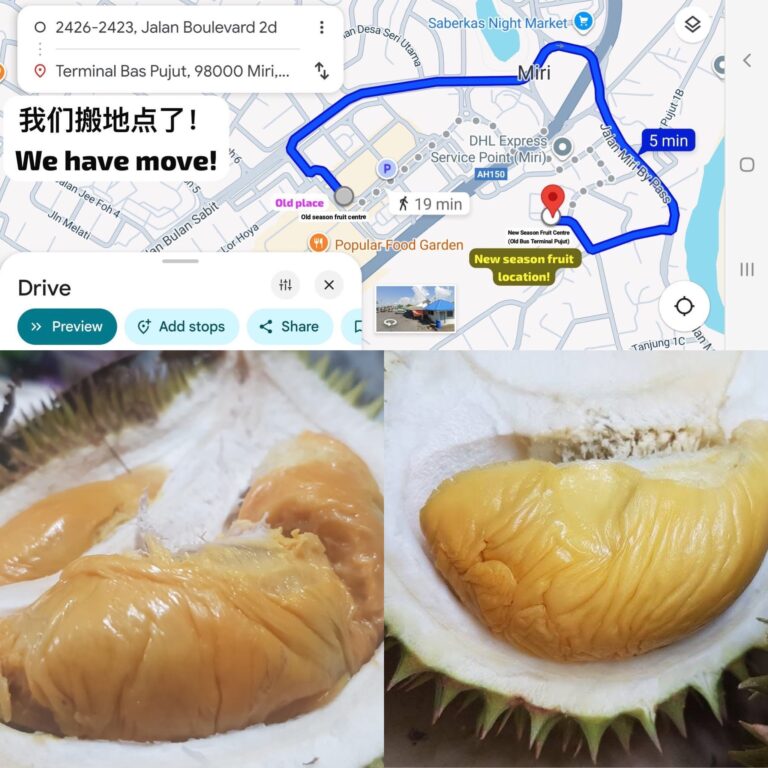 New Durian Heaven at Miri’s Old Bus Terminal - Miri City Sharing